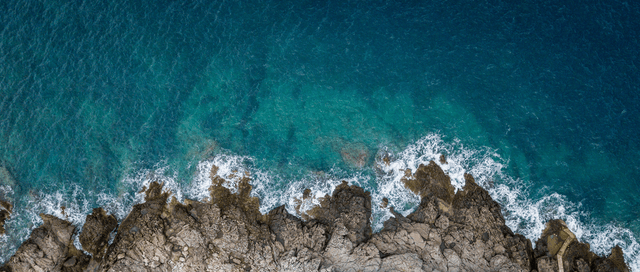 Home | Divers Clean Action