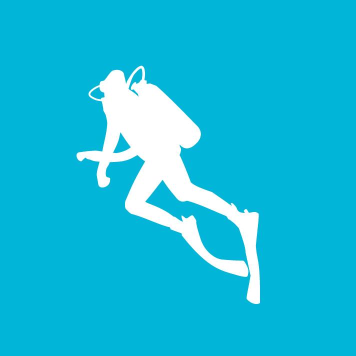 Team | Divers Clean Action