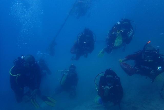 Eco Trip | Divers Clean Action